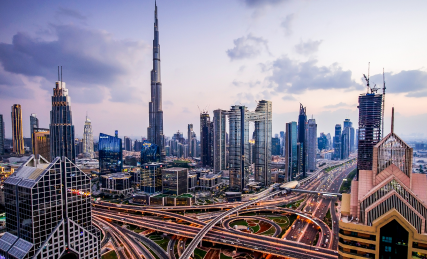 Government Information - dda - AE